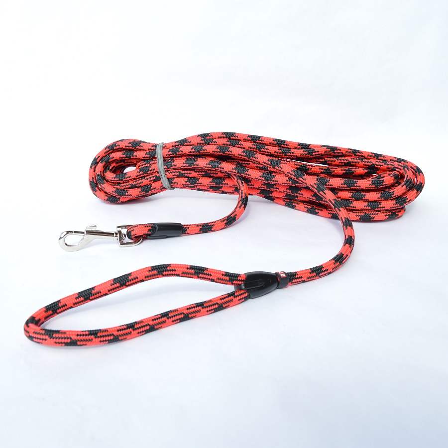 Notice d'utilisation de la manipulation de la longe pour chien